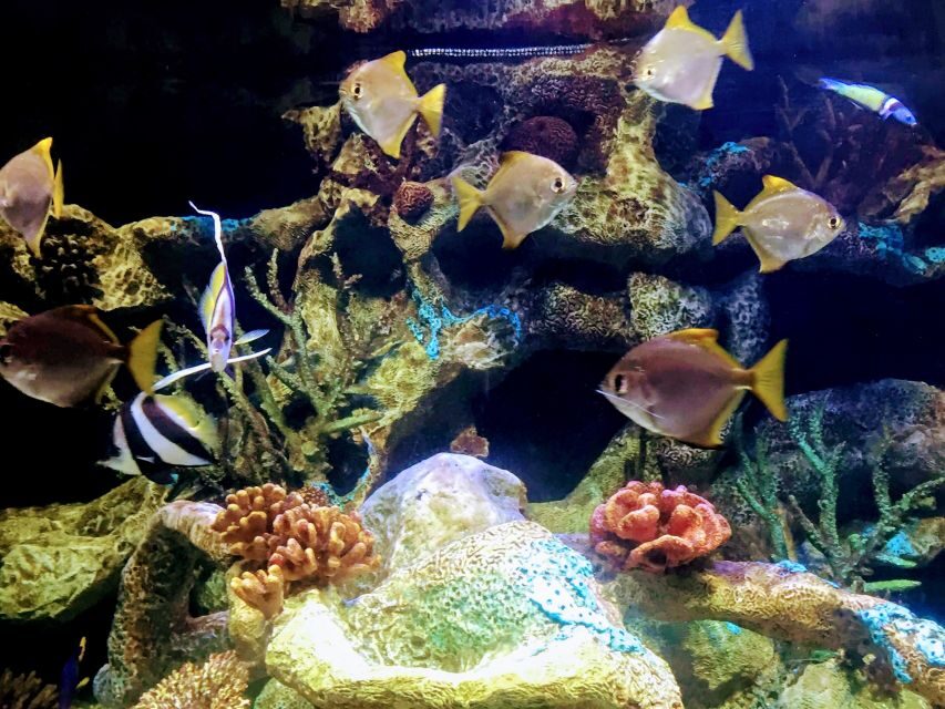 Buenos Aires: Bioparque Temaiken with Transfers - The Practical Side of the Tour