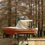 Buenos Aires: Classic Delta of Tigre Boat Tour - The Journey to Tigre: En Route to Nature
