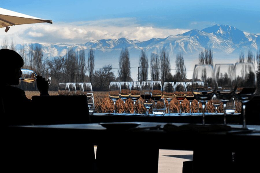 Buenos Aires: Mendoza Wine Paradise Day Trip with Airfare - Detailed Itinerary Breakdown