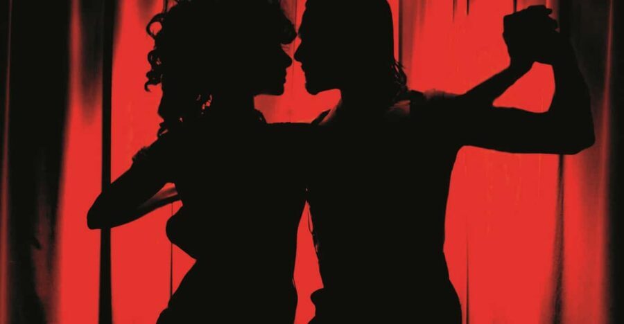 Buenos Aires: Rojo Tango Show with Optional Dinner - Who Should Consider This Tour?