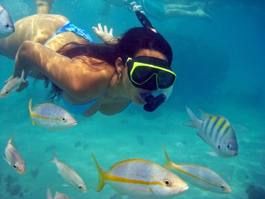 Búzios Day Trip from Rio de Janeiro - Is This Tour Worth It?