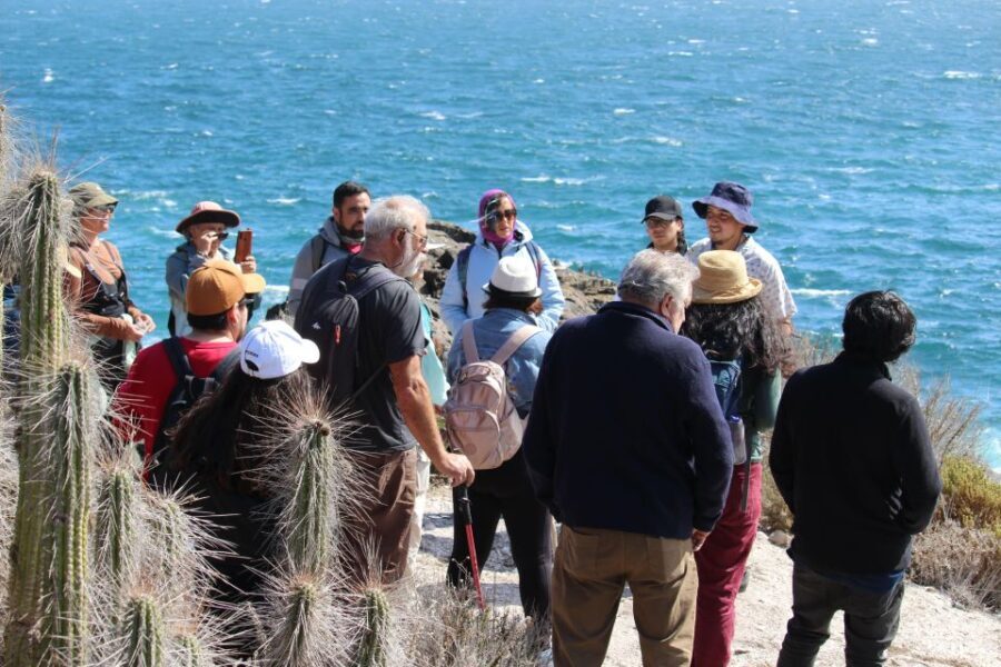 Caleta Los Hornos: Hiking archaeological sites - An In-Depth Look at the Tour Experience