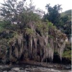 Cali: Cali River Waterfall and Great River Pools Tour - An In-Depth Look at the Cali River Waterfall and Pools Tour