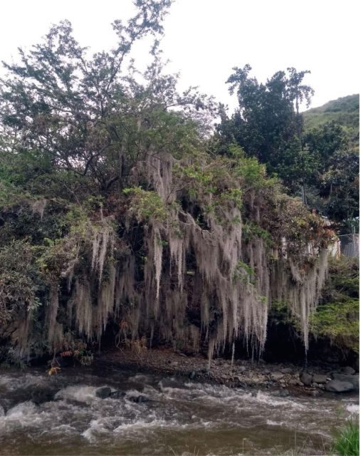 Cali: Cali River Waterfall and Great River Pools Tour - An In-Depth Look at the Cali River Waterfall and Pools Tour