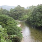 Cali: Guided Day-Trip to San Cipriano with Traditional Lunch - Deep Dive into the Details