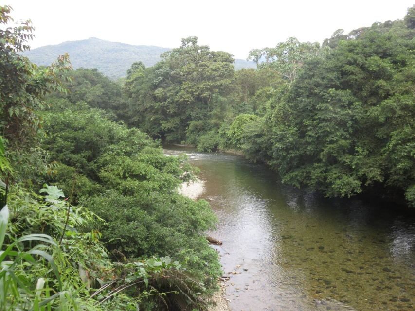 Cali: Guided Day-Trip to San Cipriano with Traditional Lunch - Deep Dive into the Details