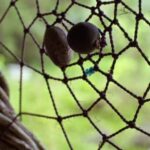 Cali: Jepp, Wala. nature in magic, organic gardens, birds - What’s Included & What’s Not