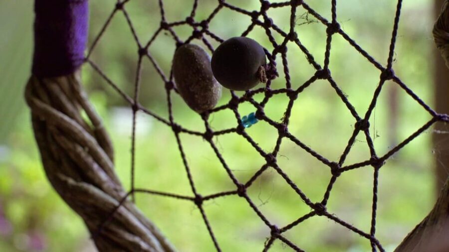 Cali: Jepp, Wala. nature in magic, organic gardens, birds - What’s Included & What’s Not