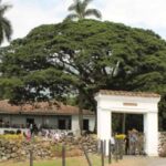 Cali: Sugar Cane Farm and El Paraiso Hacienda Day Trip - Why This Tour Offers Value