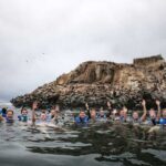 Callao: Swimming with Sea Lions Palomino Islands Boat Tour - The Details: What’s Included and What to Bring