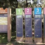 Campos do Jordão The Brazilian Switzerland,Full Day Trip - What To Expect and Practicalities