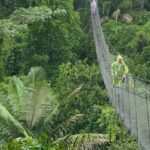 Canopy Tower, Zipline, Kayak, and Monkey Island - Authentic Insights from Reviews