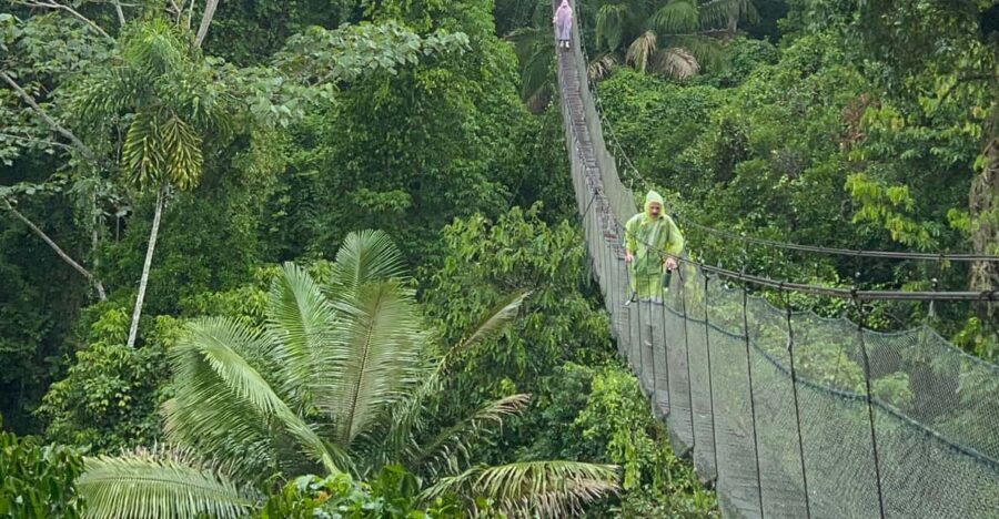 Canopy Tower, Zipline, Kayak, and Monkey Island - Authentic Insights from Reviews