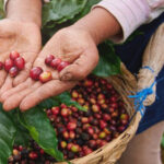 CANYONING and COFFEE TOUR AT LOCAL FAMILY FARM from GUATAPE - The Practicalities: What’s Included and What to Bring