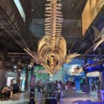 Cariocando at AquaRio & Olympic's Boulevard - Who Should Consider This Tour?