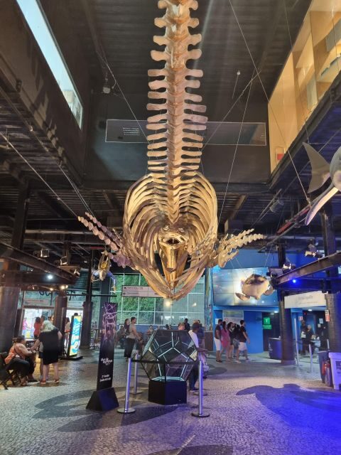 Cariocando at AquaRio & Olympic's Boulevard - Who Should Consider This Tour?