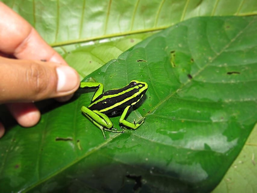 Carpishuyacu Waterfall Adventure - The Logistics and Practicalities