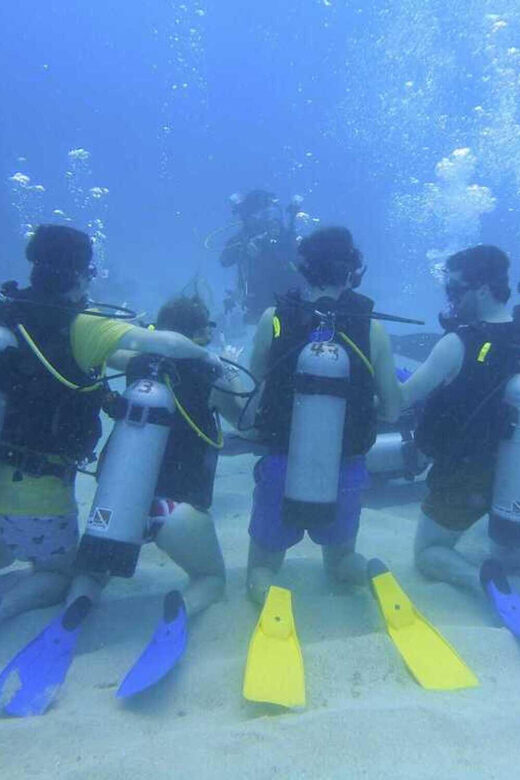 Cartagena: 2 Tanks Dive Plan For CERTIFIED DIVERS - What’s Included and What’s Not