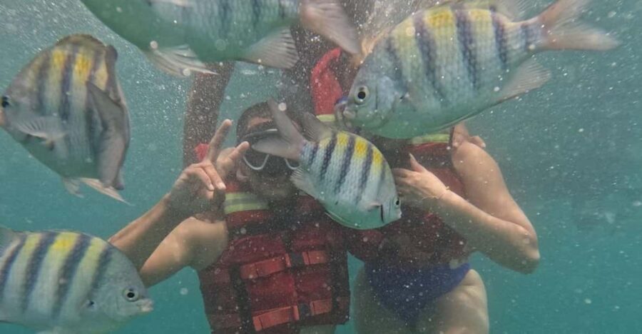 Cartagena: BARÚ Playa blanca with SNORKELING INCLUDED - Why This Tour Works Well