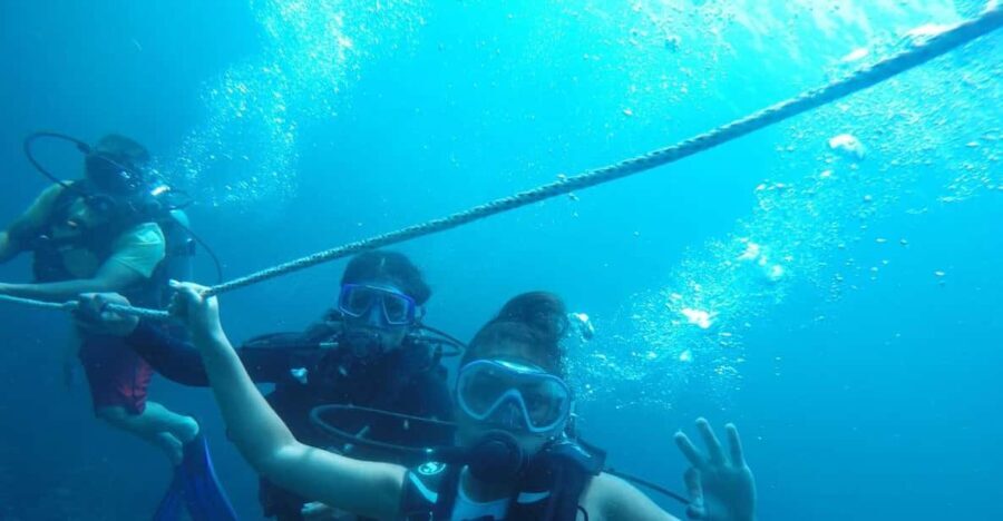 Cartagena: Basic Diving for beginners in Rosario Islands - The Value and Practical Considerations