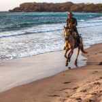 Cartagena, Blue Apple Beach, Horse Treks - The Itinerary in Detail