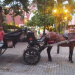 Cartagena: COLLONIAL HORSE DRAWN CARRIAGE by THE OLD CITY - The Itinerary Breakdown