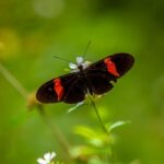 Cartagena: Guided Hiking Tour - Exploring the Tropical Dry Forest Near Cartagena