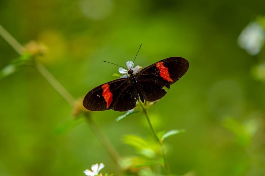Cartagena: Guided Hiking Tour - Exploring the Tropical Dry Forest Near Cartagena