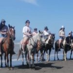 Cartagena: Horse riding on the beaches of Cartagena & PHOTOS - Price and Value Analysis