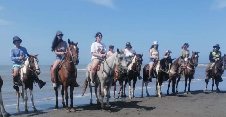 Cartagena: Horse riding on the beaches of Cartagena & PHOTOS - Price and Value Analysis