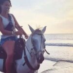 Cartagena: Horseback Ridding Excursion on the Beach - Why This Tour Is a Great Choice