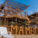Cartagena: Isla Baru Beach Club at Playa Blanca - What You Can Expect from the Tour