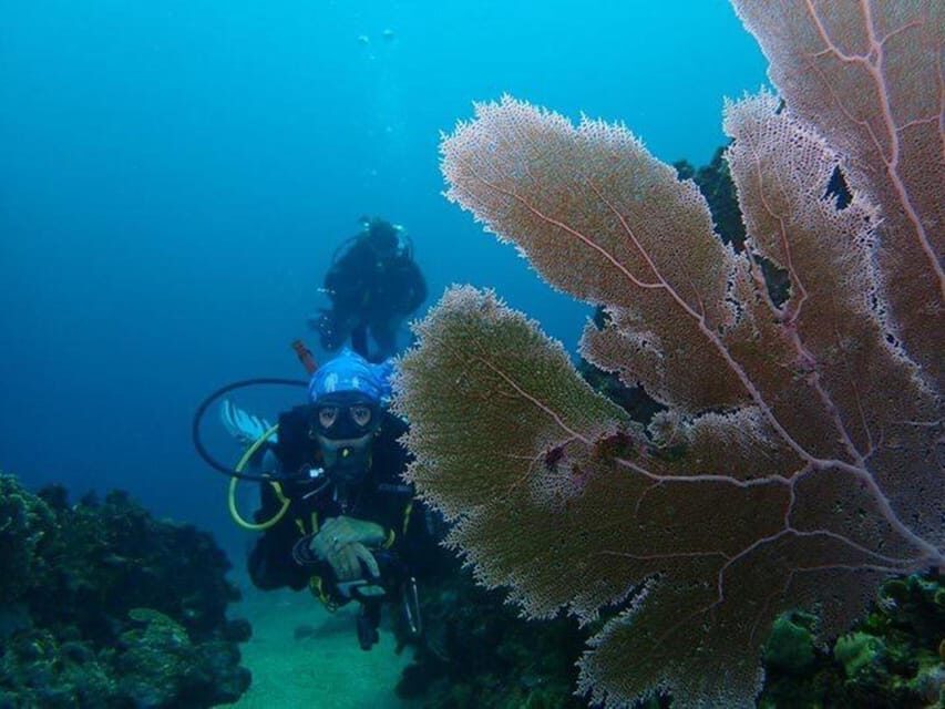 Cartagena: PADI DISCOVER SCUBA / MINICURSO DE BUCEO - An In-Depth Look at the Experience