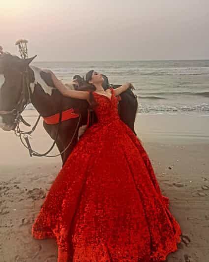 Cartagena: Ride a horse & sail through the mangrove - Value and Authenticity