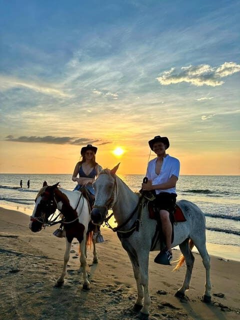 Cartagena: RIDE A HORSE with pick-up at the hotel and return - Detailed Breakdown of the Itinerary