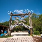Cartagena: Rosario islands Playa Blanca Barù by boat & lunch - A Deep Dive into the Experience