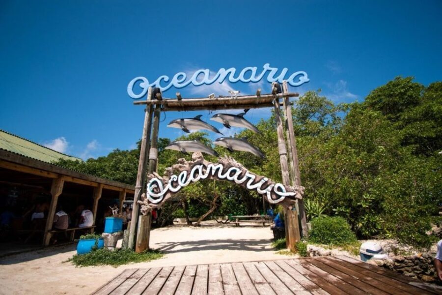 Cartagena: Rosario islands Playa Blanca Barù by boat & lunch - A Deep Dive into the Experience