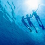 Cartagena: Snorkel, Mangroves and Playa Blanca Tour - The Real Value for Travelers