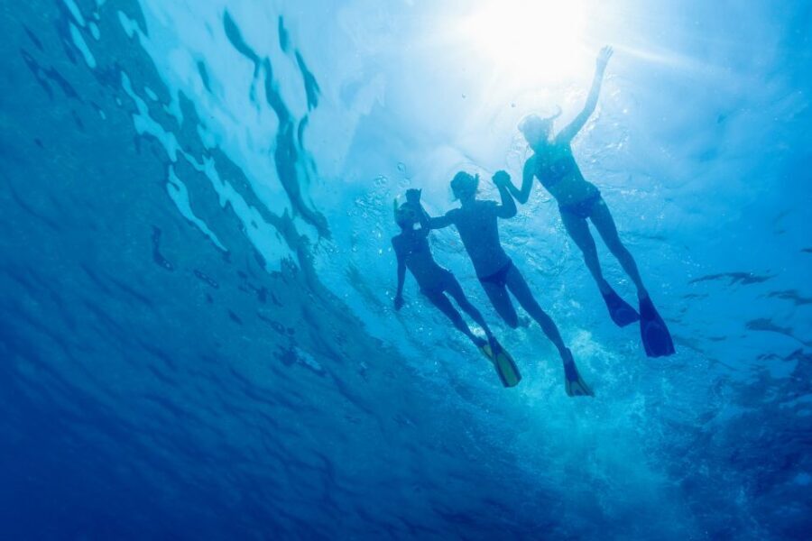 Cartagena: Snorkel, Mangroves and Playa Blanca Tour - The Real Value for Travelers