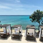 Cartagena: Sol y Papaya Beachclub - Daytour in Isla Grande! - The Itinerary in Detail