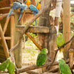 Cartagena to National Aviary Excursion - Who Would Enjoy This Tour Most?