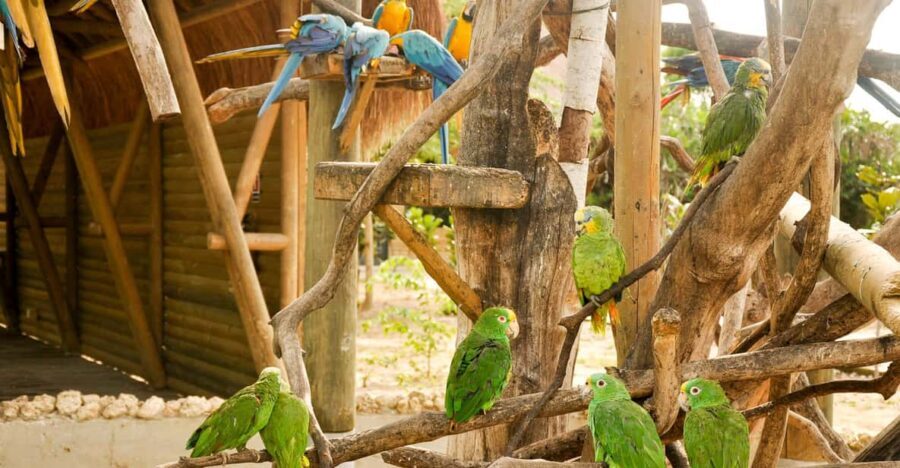 Cartagena to National Aviary Excursion - Who Would Enjoy This Tour Most?