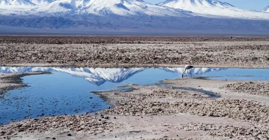 Cejar Lagoon, Eyes of the Salt Flat and Tebinquinche Lagoon - The Itinerary in Detail