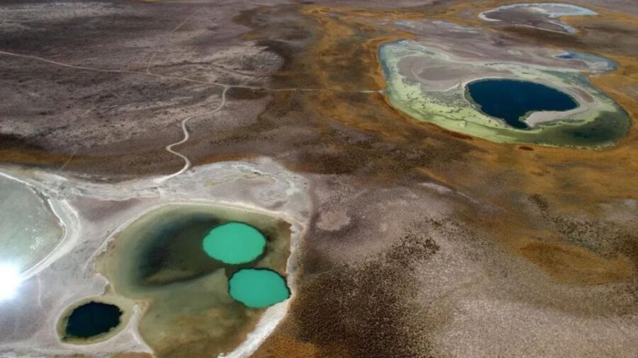 Cejar Lagoon Tour - Flotation, Cocktail & More!" - Details That Matter