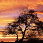 Cejar & Tebenquiche Lagoons Tour with Ojos del Salar Atacama - Detailed Breakdown of the Itinerary