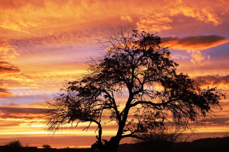 Cejar & Tebenquiche Lagoons Tour with Ojos del Salar Atacama - Detailed Breakdown of the Itinerary