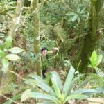 Christ the Redeemer Hiking: Journey to Rio's Iconic Landmark - What’s Included and What to Consider