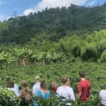 Cocoa and Coffee Farm Tours from Pereira or Armenia - Key Points