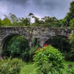 Cocora: trek to the hummingbirds sanctuary - The Balance of Value and Experience