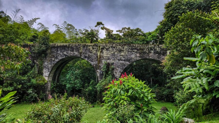 Cocora: trek to the hummingbirds sanctuary - The Balance of Value and Experience